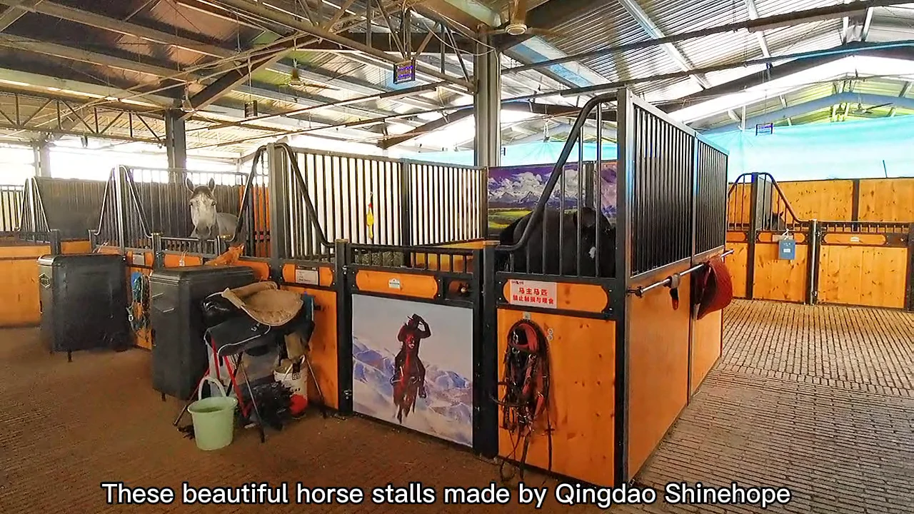 Bamboo Powder Coated Horse Box Horse Stable Modular Horse Stalls - Buy ...