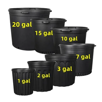 3 Hdpe Gallon Pot Black Premium Black Hard Plastic Nursery Plant ...