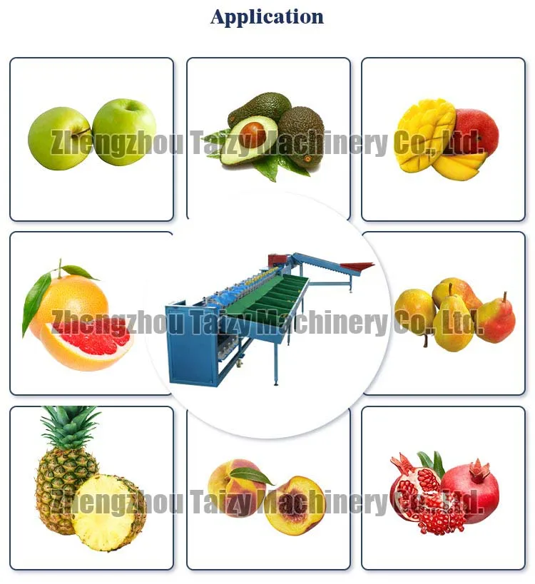 Weights Dragon Fruit And Vegetable Grading Pineapple Mango Fruit ...