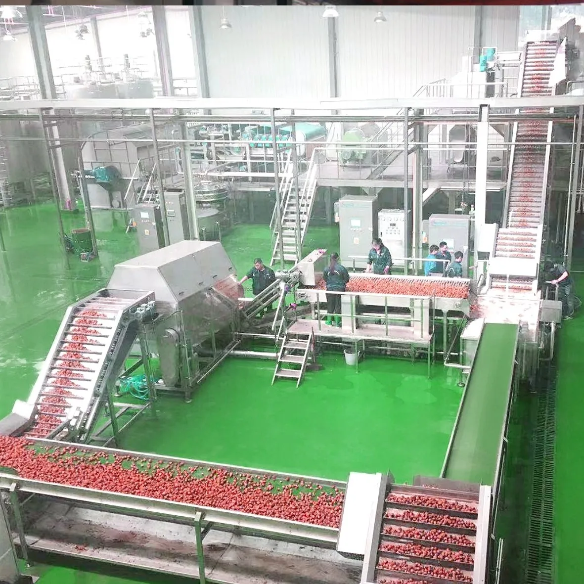 Fruit Elevator - Efficient Lifting Solutions for Fruits