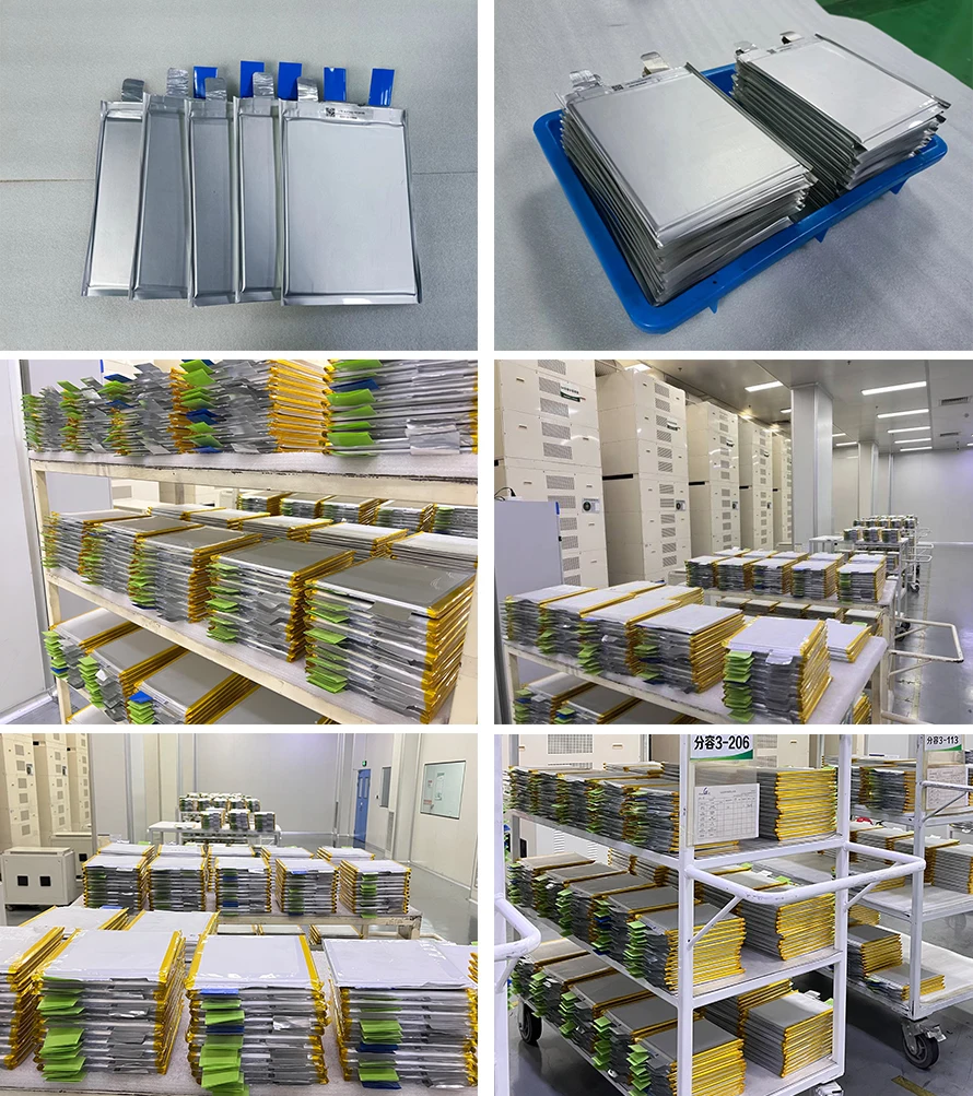 Lithium Ion Battery Pouch Cell With Bms 25ah 50ah 60ah 100ah Gotion ...