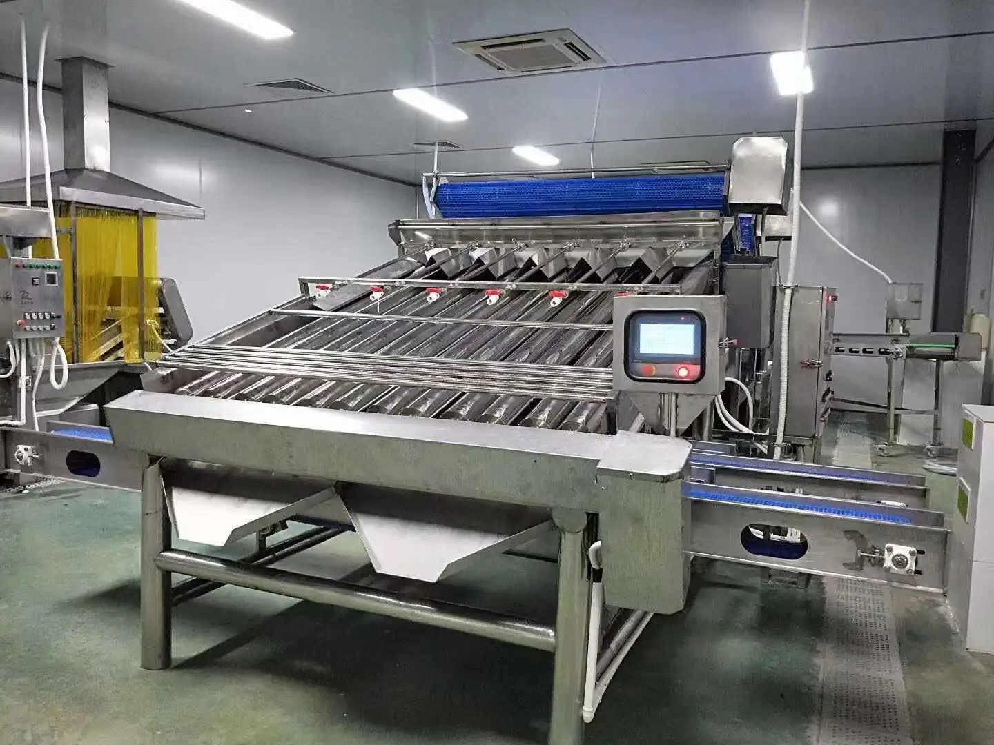 Prawn Sorting Machine - Efficient Shrimp Grading Solutions