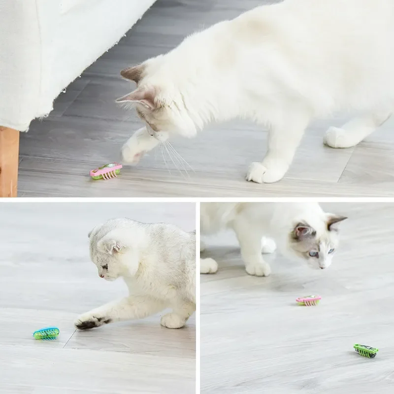 Funny Electric Bugs Cat Toy - Automatic Battery Operated Insect Toys ...