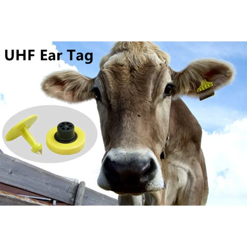 25mm/30mm UHF RFID Pet Tag Cattle Goat Cattle Sheep Livestock Tracking ...