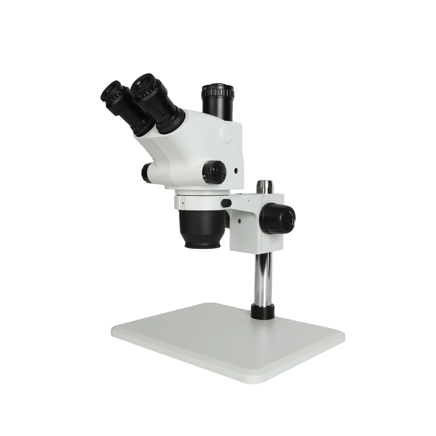 Digital Binocular Microscope