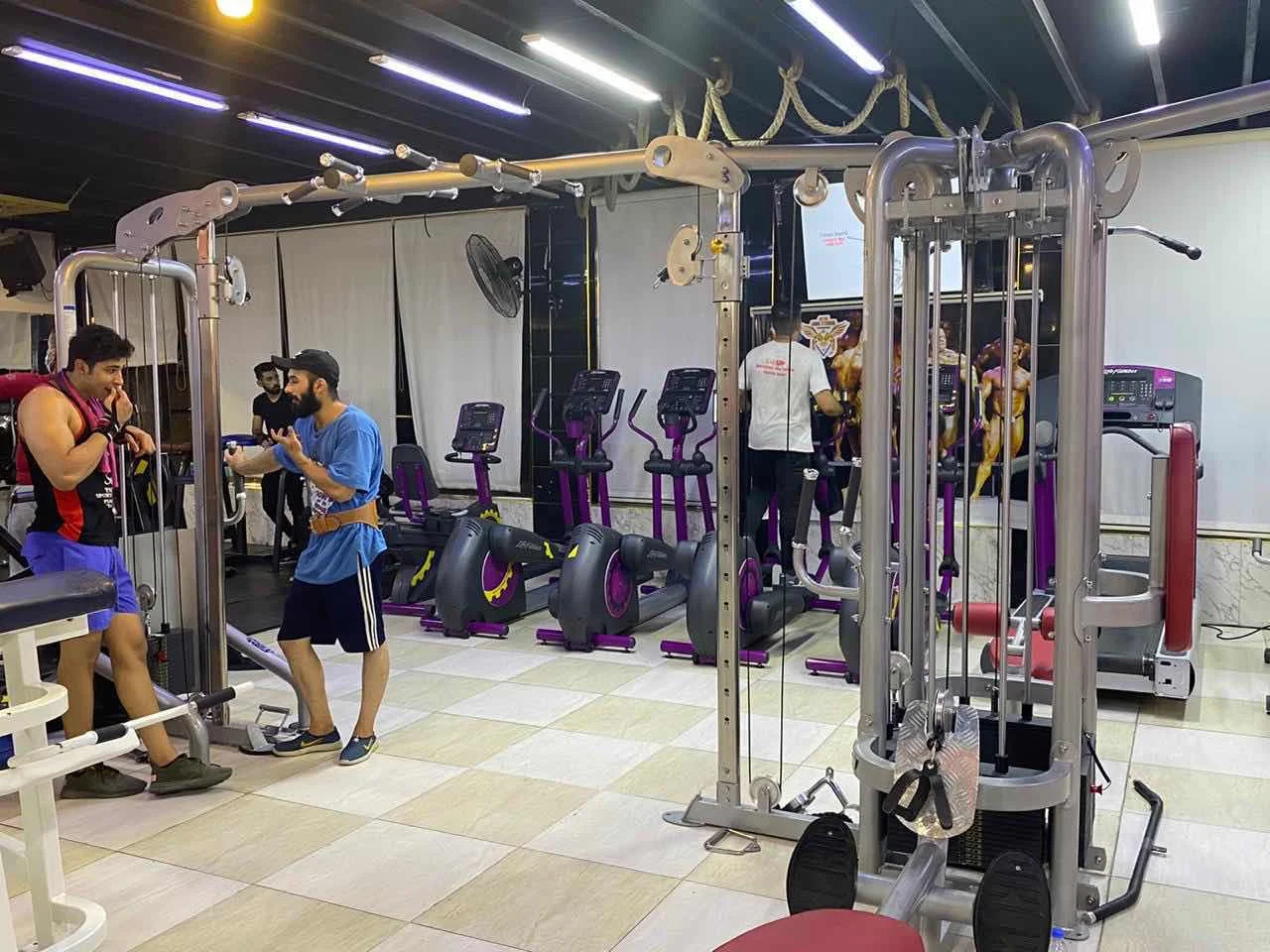 Commercial Vertical Leg Press Muscle Leg Targeted Compact Leg Press Jlc ...