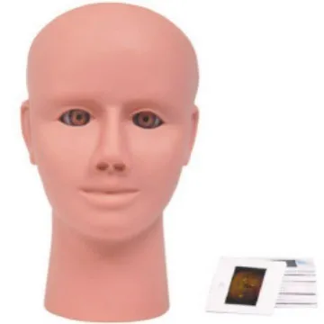 Human Eye Disease Diagnosis Simulator - YULIN Medical Model