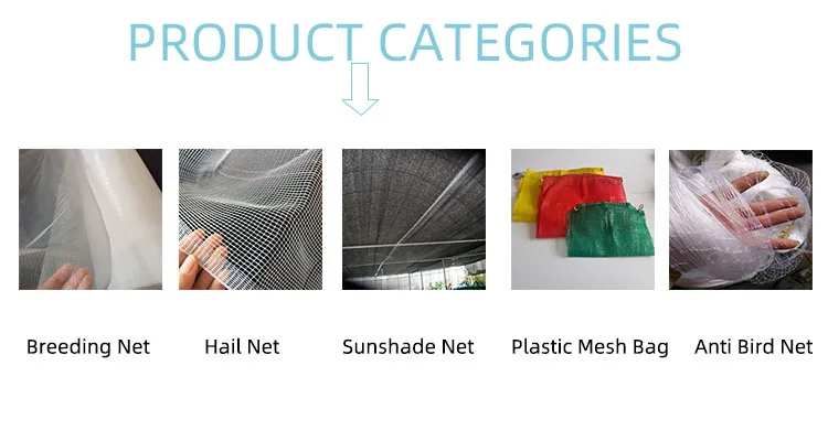 Agricultural 50 Mesh Anti Insect Proof Plastic Woven Insect Screen ...