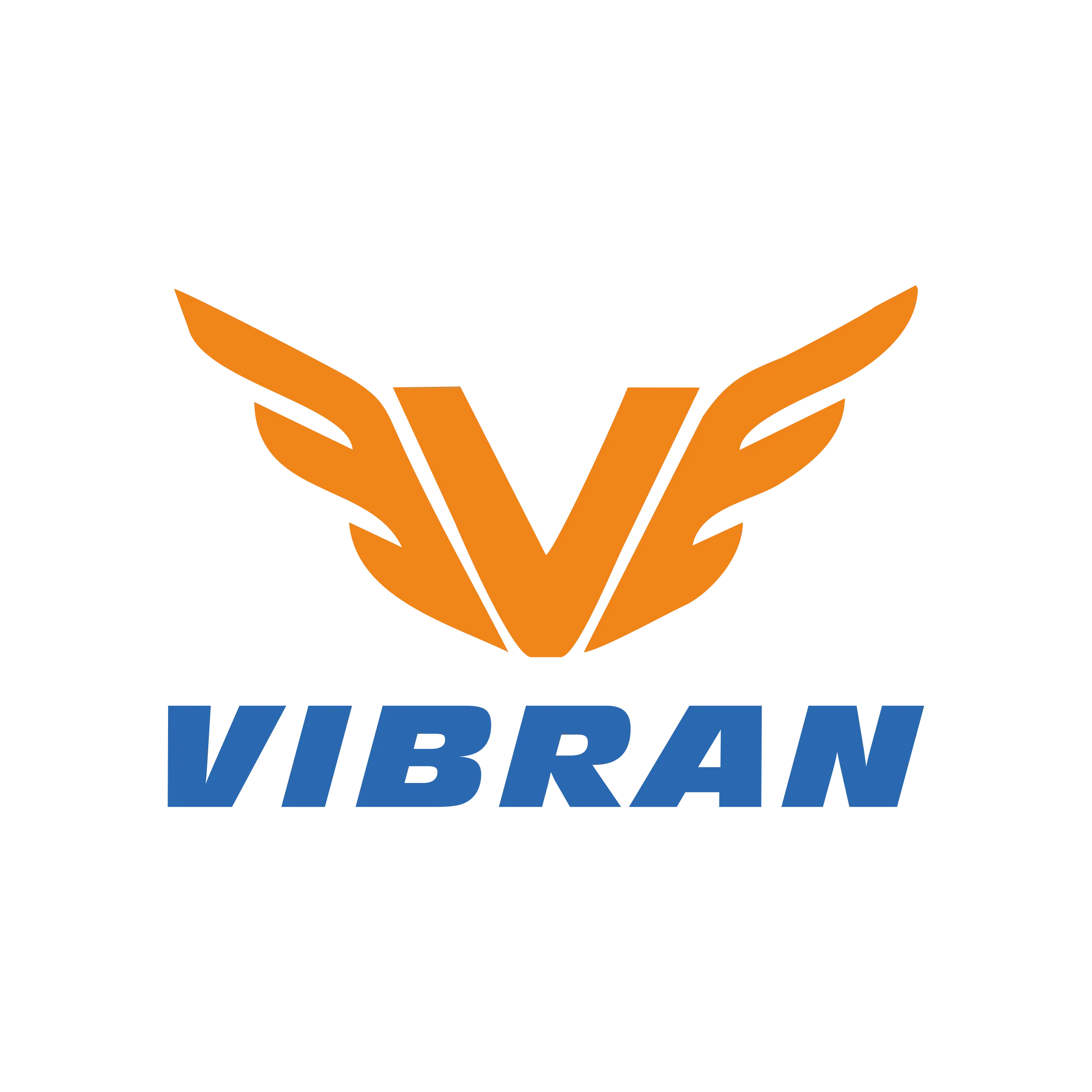 Company Overview - Luoyang Vibran Technology Co., Ltd.