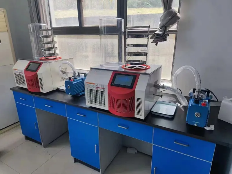 Benovor 2024 New Desktop Freeze Drying Equipment Small Laboratory ...