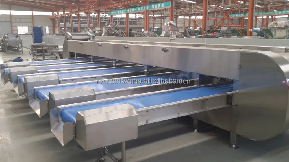 Automatic Fruit And Vegetable Sorting Grading Machine Auto Sorting And ...