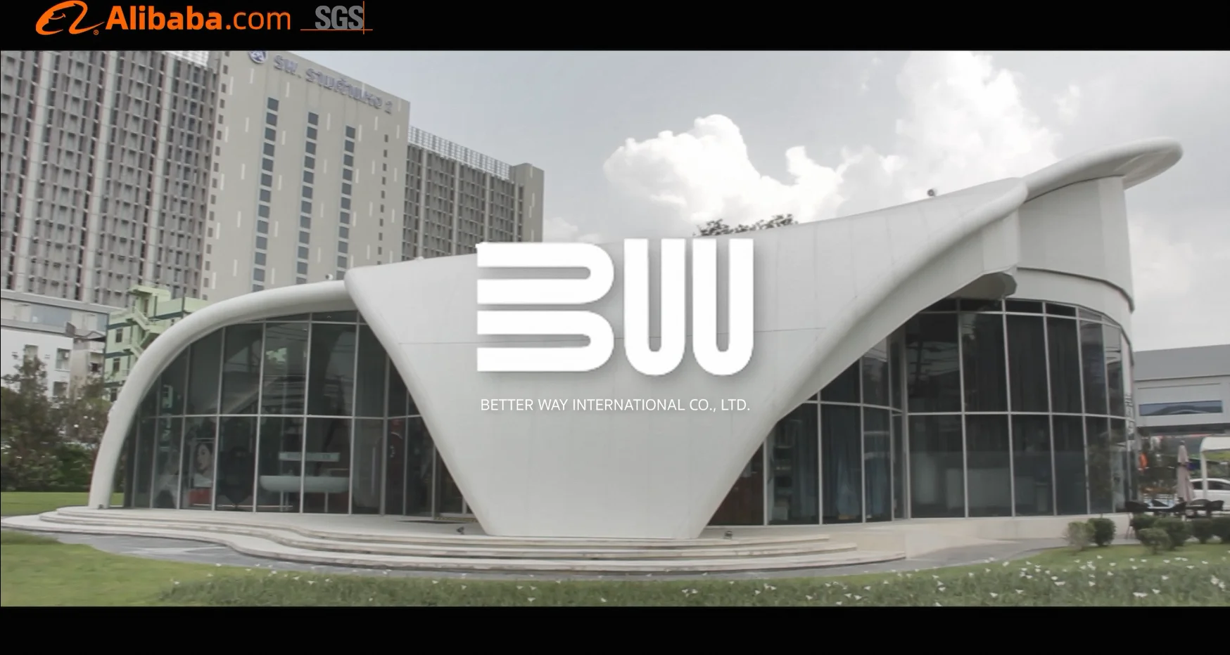 Company Overview - BETTER WAY INTERNATIONAL COMPANY LIMITED