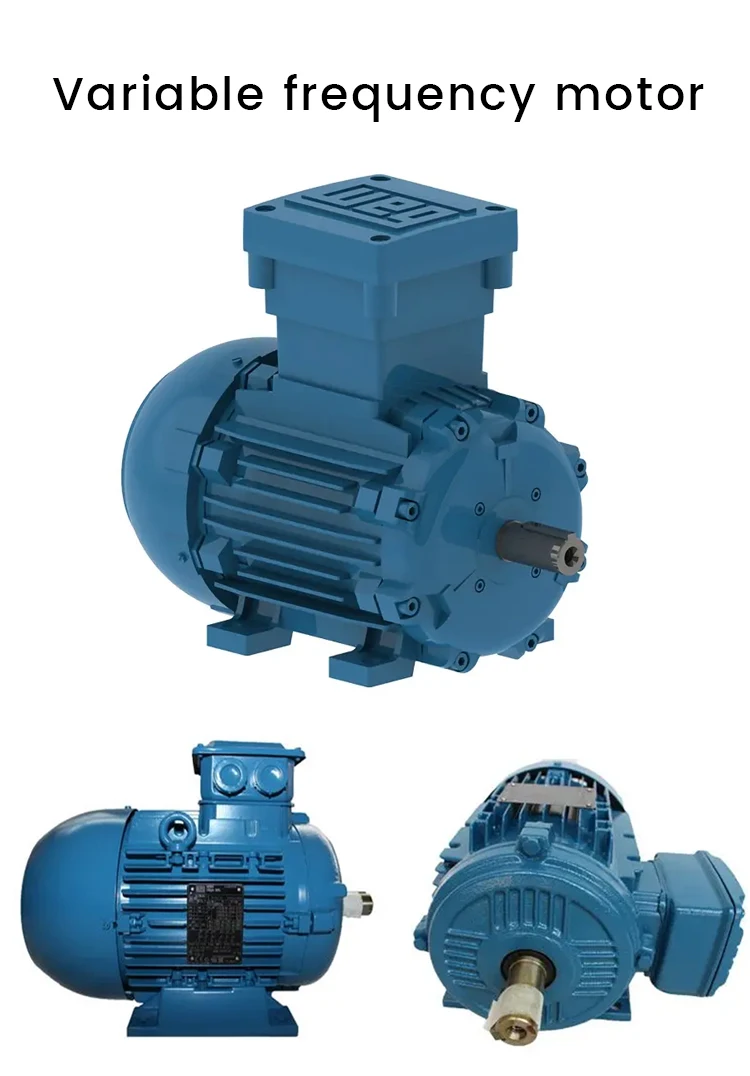 Weg- Motor Variable Frequency Motor Ie2 Ie3 Three-phase Asynchronous ...