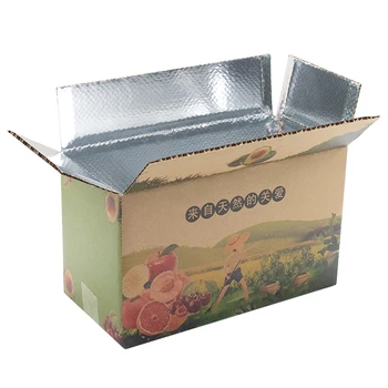 Insulated Food Cooler Packaging Carton Boxes For Transporting Frozen ...
