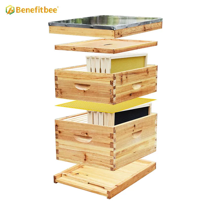 Wholesale Bee Hives Beekeeping Tools Apicultura Bee Box Beehive Kit ...