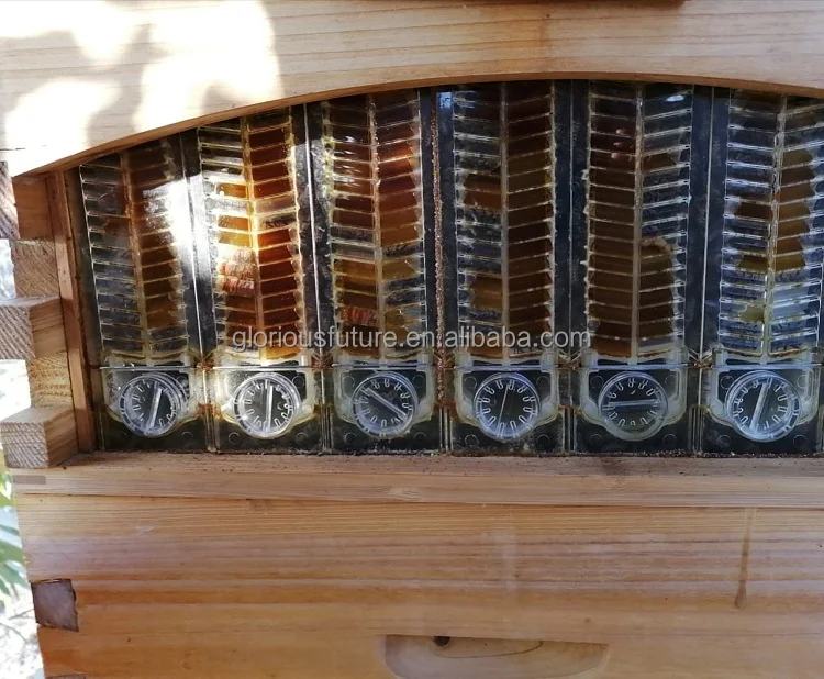 Complete Auto Flowing Honey Bee Hive With 7pcs Automatic Self Flows ...