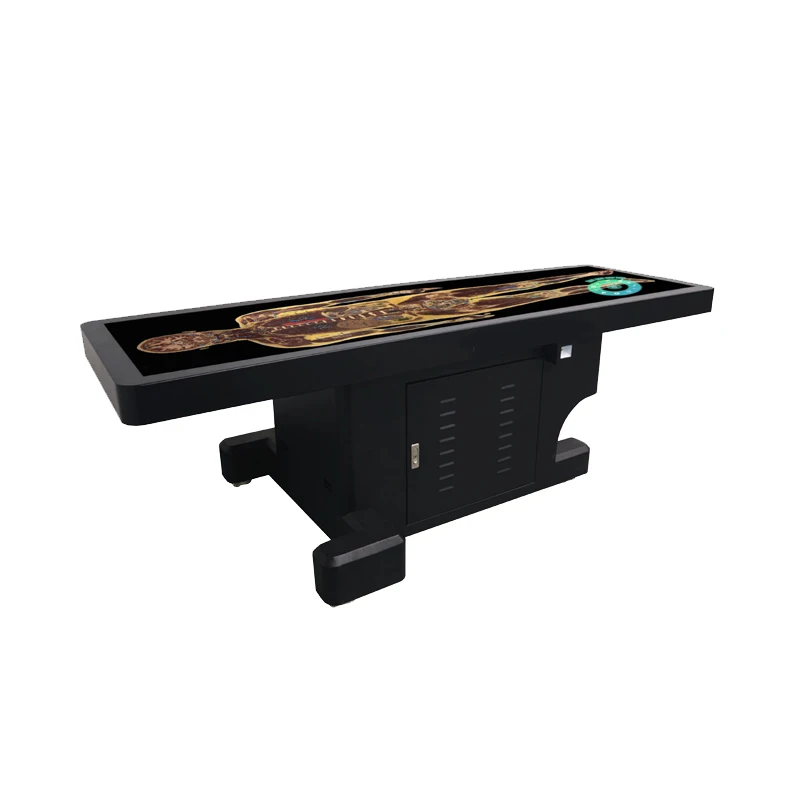 Virtuele Anatomie - Virtual Autopsy Table for Medical Education