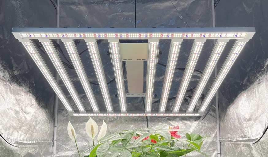 LM301H Evo Grow Led Lights - Balanced PPFD for Indoor Growing