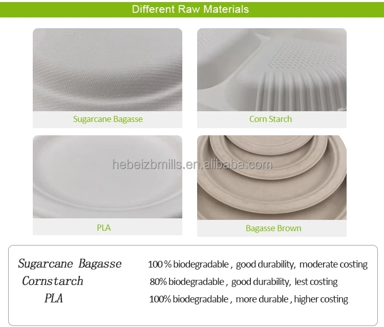 172 Pieces Compostable Eco Party Set Serves 20 Guests Eco-friendly ...