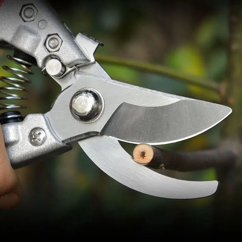Strong Garden Shears Pruning Premium Quality Floral Shears Pruners ...