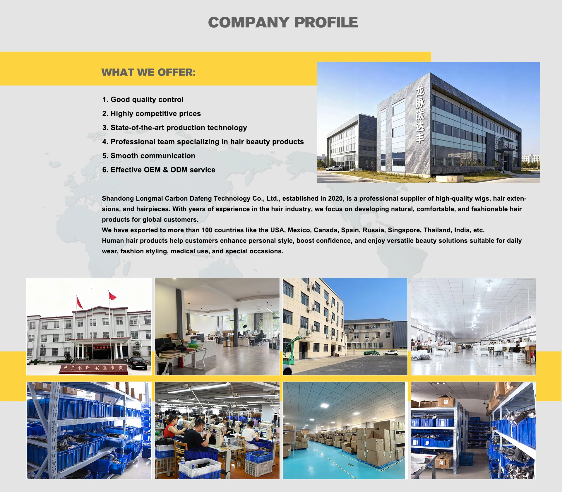 Company Overview - Shandong Longmai Carbon Dafeng Technology Co., Ltd.