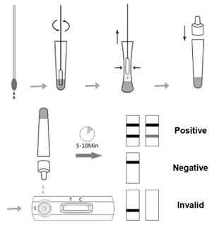 Veterinary Product Canine Disease Rapid Diagnostic test Kit CPV CCV GIA ...