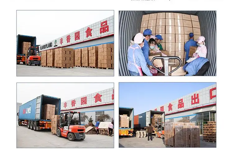 1kg White Sesame Premium Roasted White Sesame Seed - Buy Roasted Sesame ...