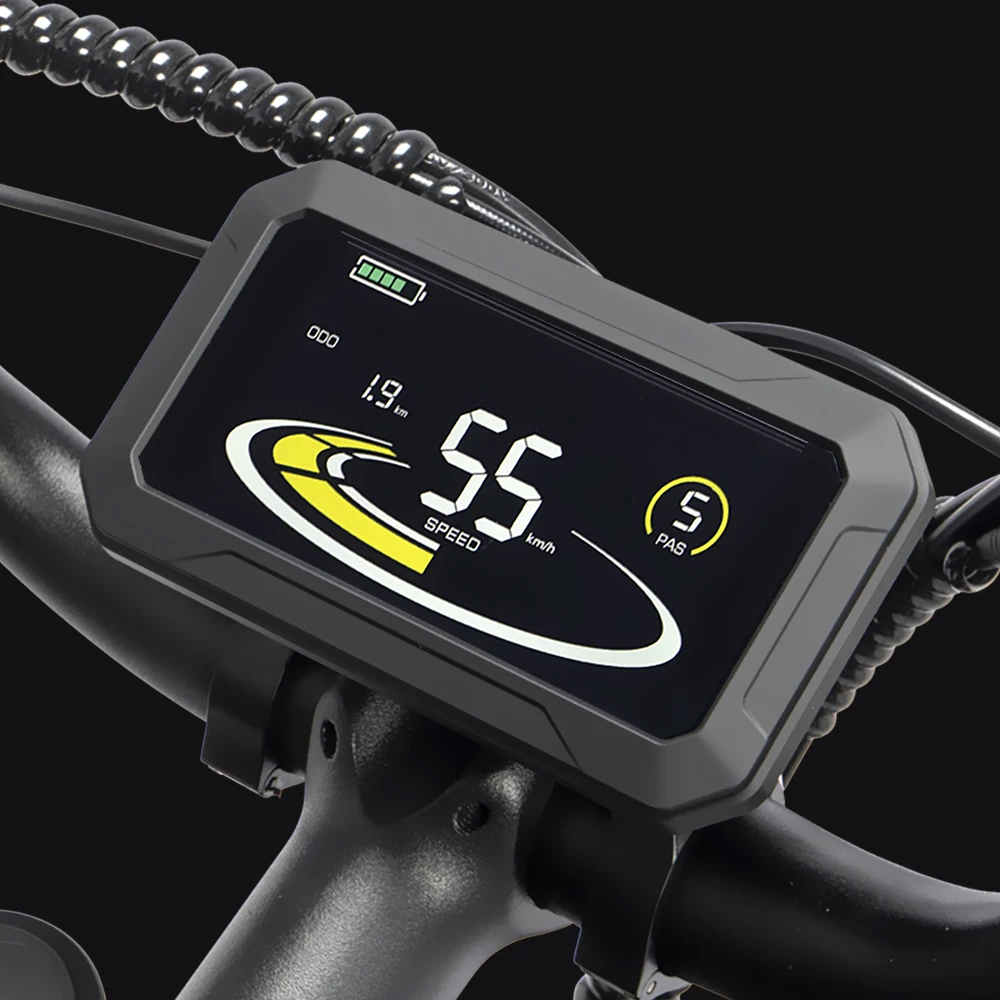 Electric bike Ridstar Q20 PRO, 52V (2000W Dual Motor), 40AH Battery ...