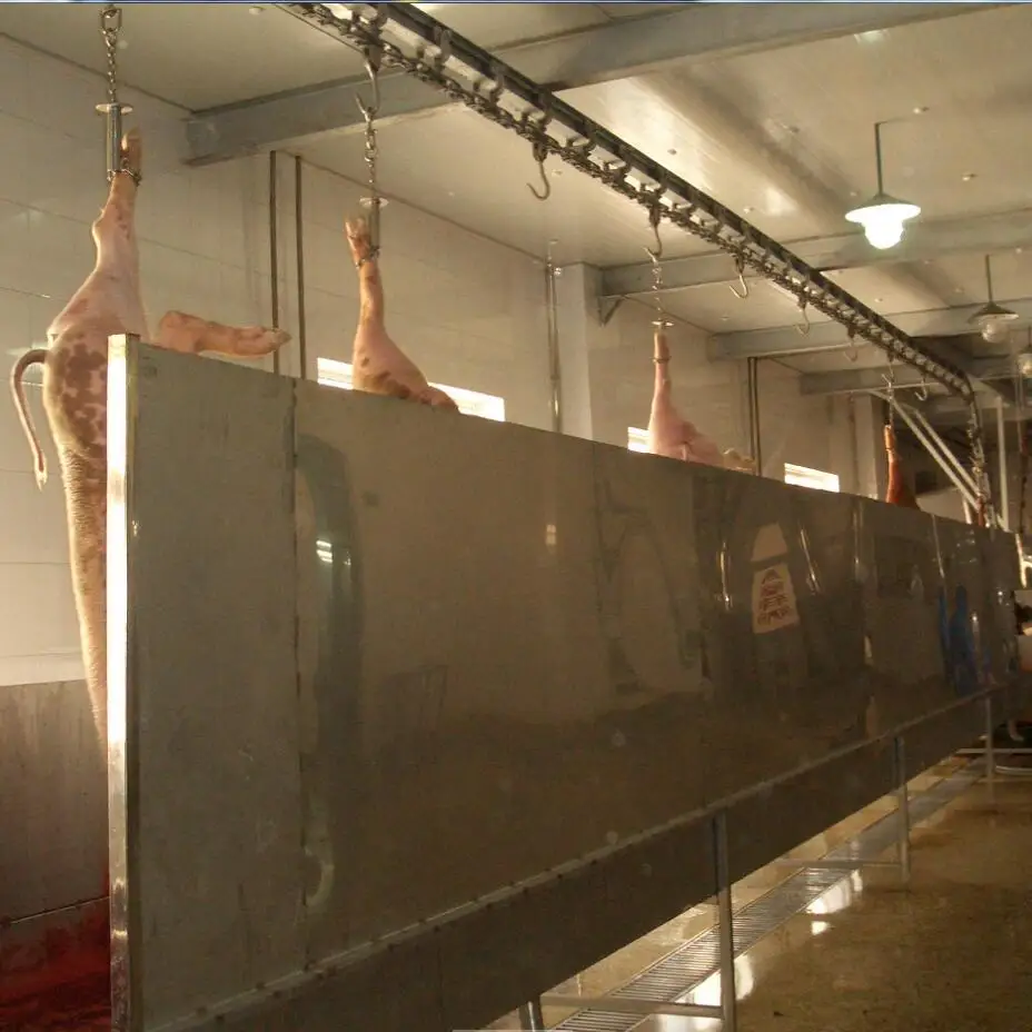 Sow Pig Abattoir Slaughtering Equipment - Efficient & Hygienic
