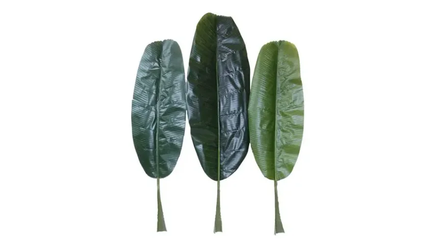 Insen Supply Banaba Extract Corosolic Acid Powder 1%+
