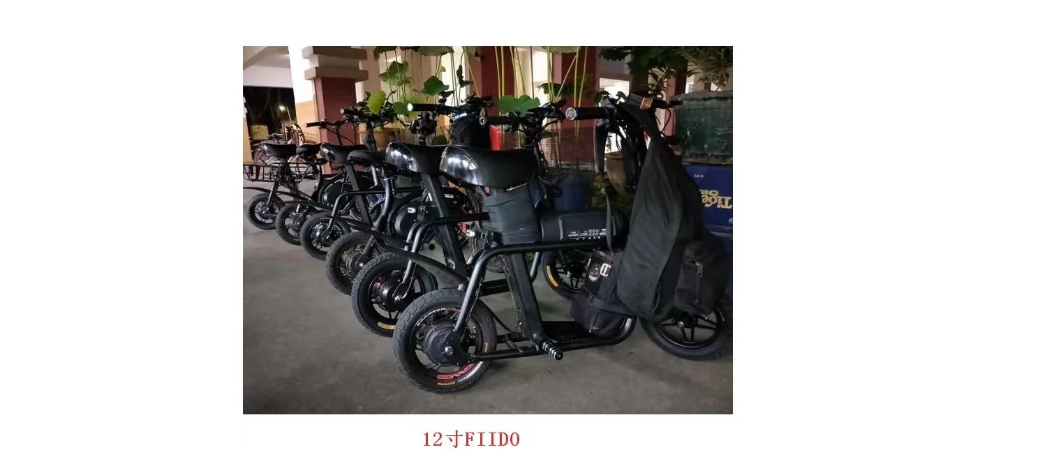 Hm 12 Inch Electric Bicycle Modified Special Front Wheel Drive 1000 ...