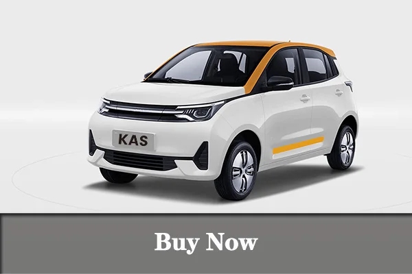 Nantong Stingtec Co., Ltd. - electric car, electric vehicles