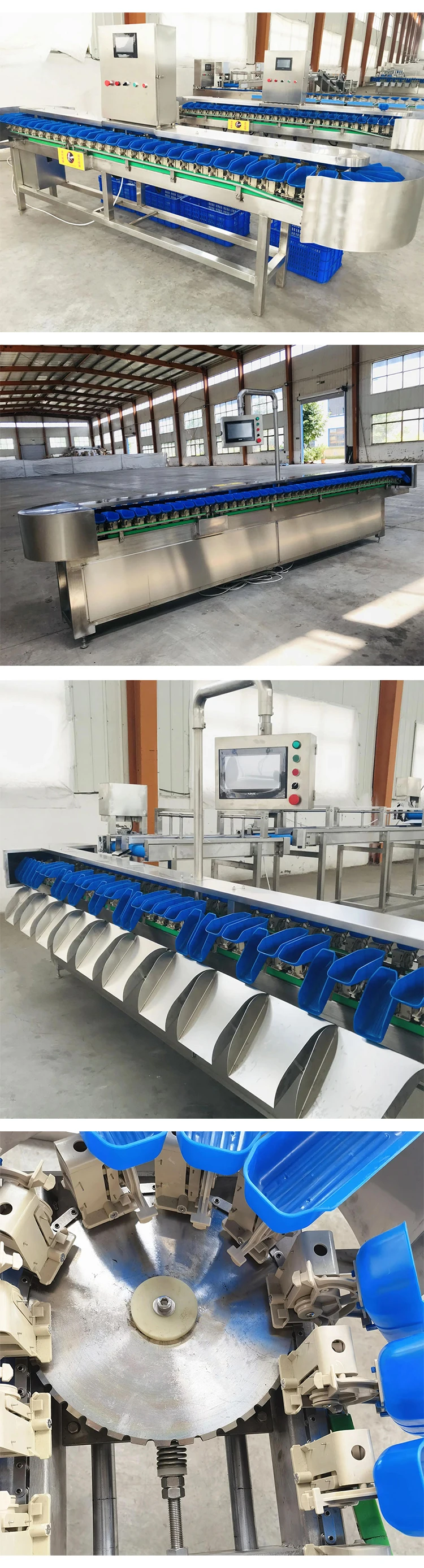 TT-WSM-01 Rotary Single Lane Multi-Weight Sorting Machine - Toptictech