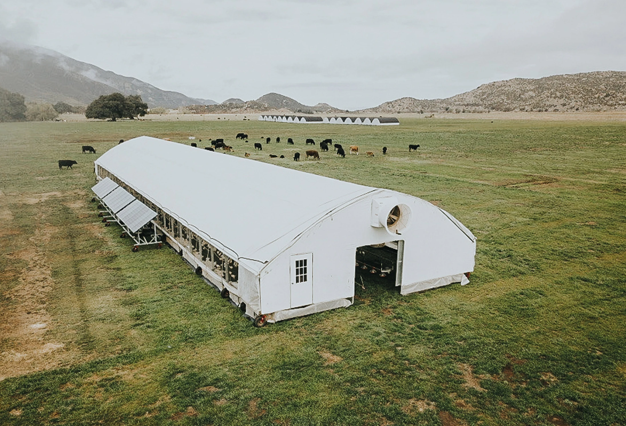 Mobile Broiler House Structures Breeding Greenhouse Solar-powered Robot ...