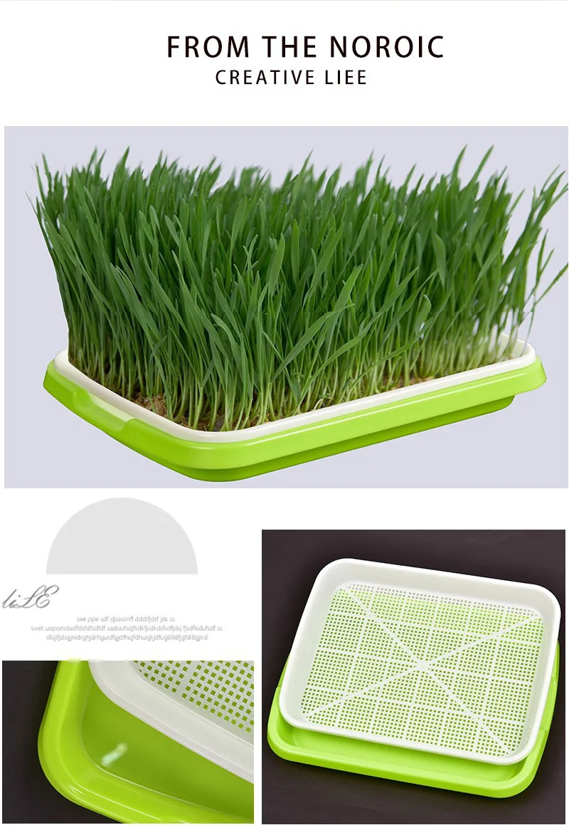 2 Layer Planting Dishes Plate Bean Sprouts Seedling Box Growing ...