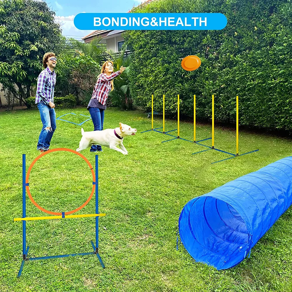 Dog Agility Training Equipment Outdoor Portable Dog Obstacle Training ...