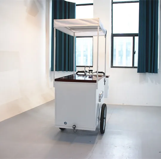 Ice Cream Bike with 258L Freezer - Perfect for Popsicles
