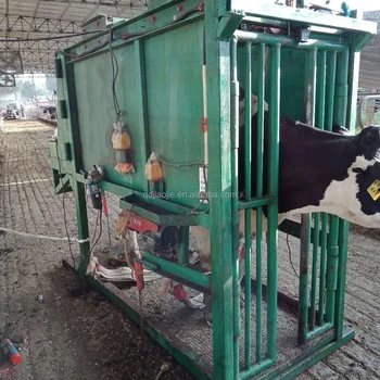 Cattle Cow Hoof Trimming Chute Crush For Livestock Equipment - Buy Hoof ...