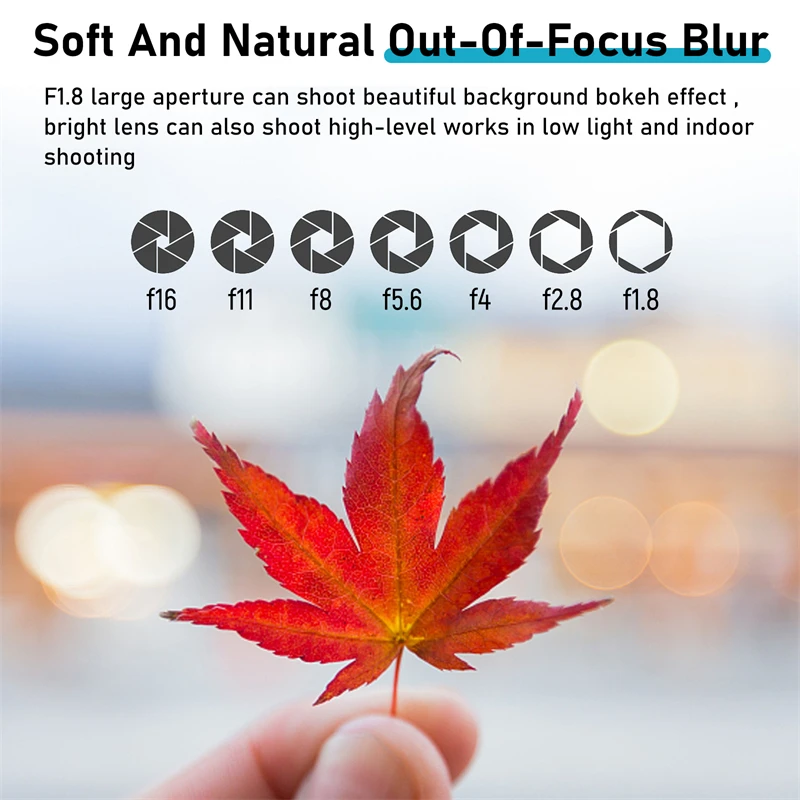 Viltrox 85mm F1.8 Ii Stm Full Frame Portrait Lens Large Aperture Af Mf ...