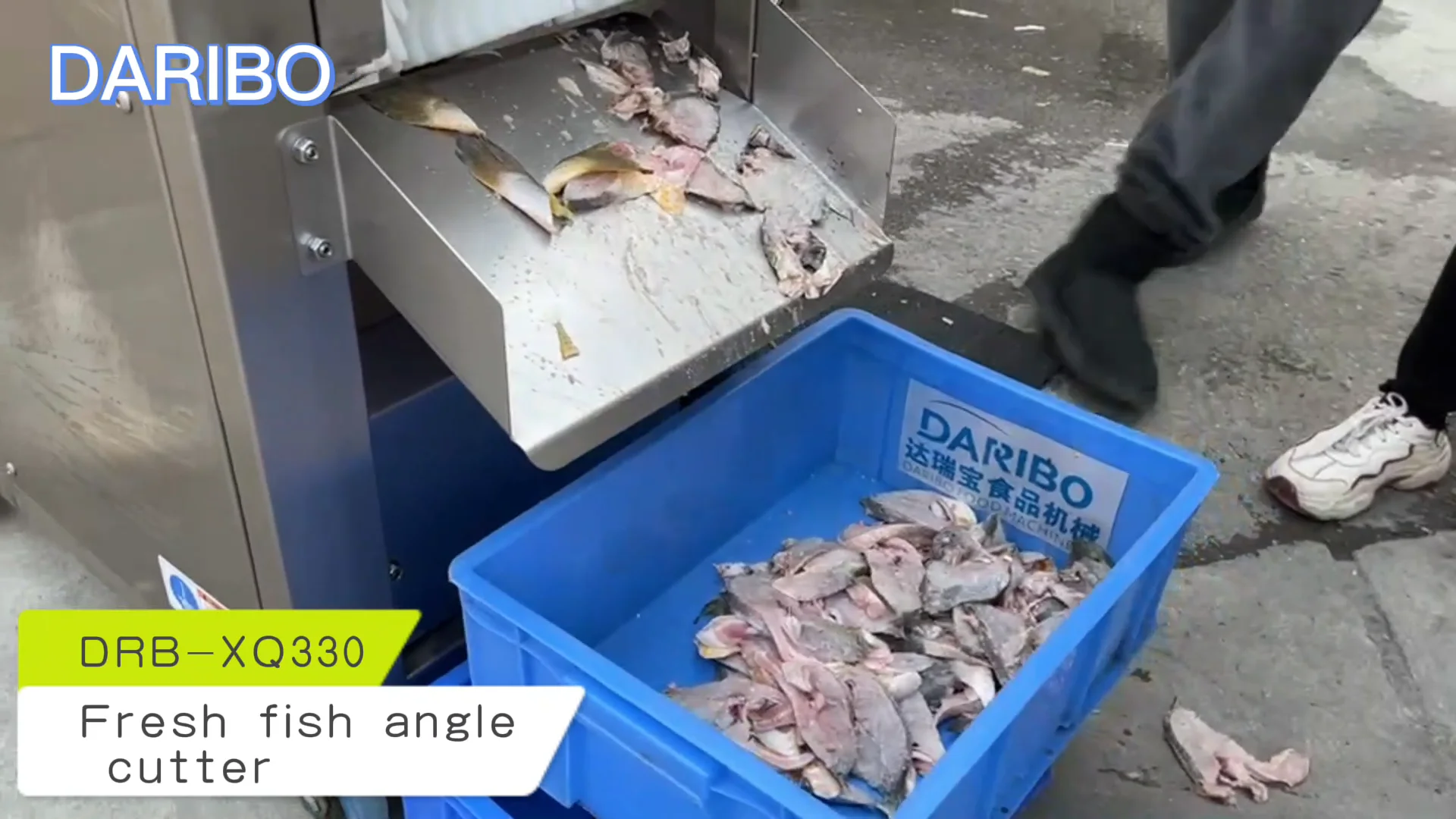 Industrial Weever Angle Cutting Machine Fish Strips Cutting Machine ...