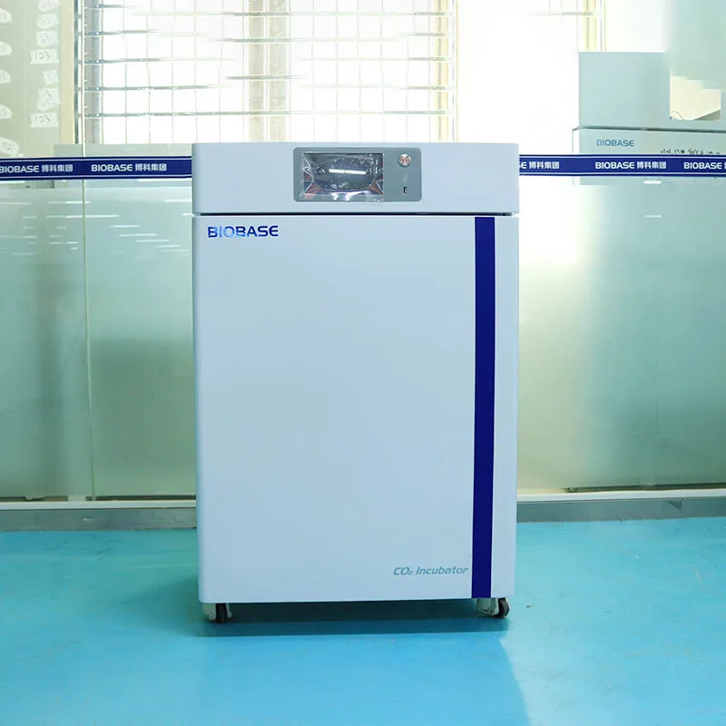 BIOBASE 50L CO2 Incubator for IVF Cell Culture - 1 Year Warranty