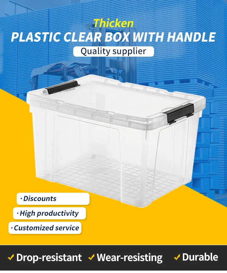 ZNST004 Plastic Storage Boxes - Versatile and Transparent