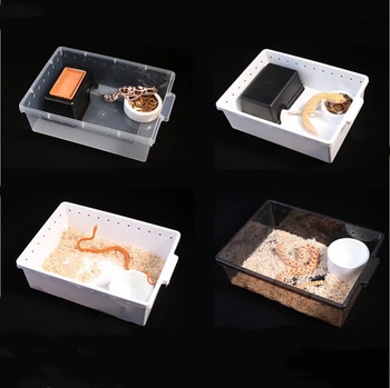A4 A5 A6 Full Size Reptile Snake Spider Horned Frog Lizard Snail Mantis ...