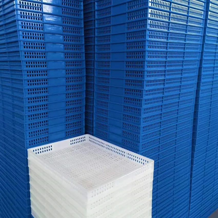 New White Plastic Drying Tray Used For Fruit/mushroom/vegetable/drugs ...