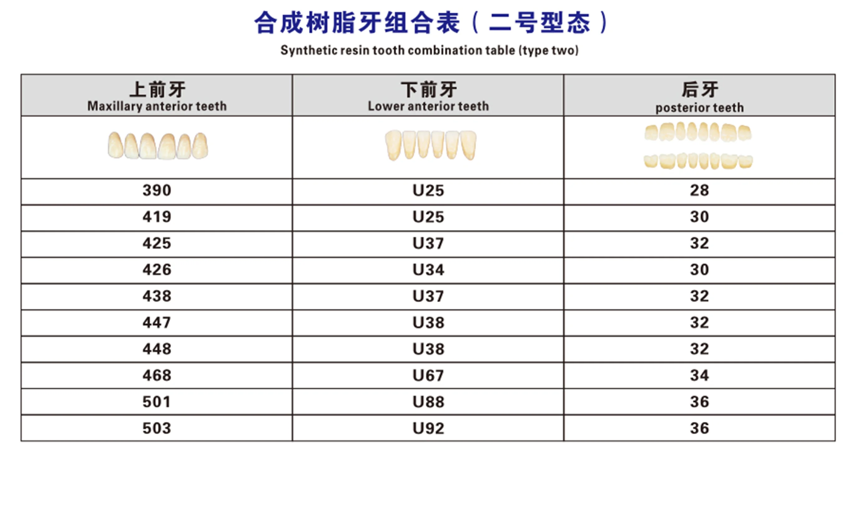 Caiyu Dental Acrylic Resin Teeth For Dentures Custom Denture Ce Iso ...