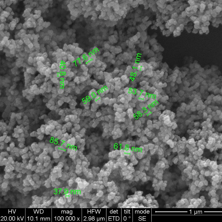Silica Coated Nucleic Acid Extration Purification Hydroxyl Magnetic ...