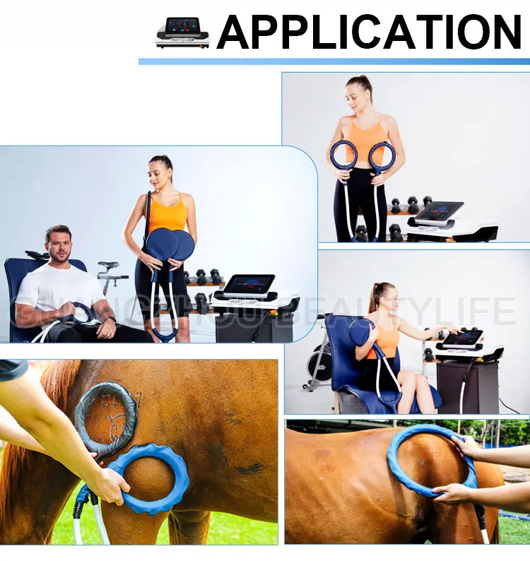 Physio Magneto Pemf Machine Loop Mat Pmst Therapy For Pain Relief ...