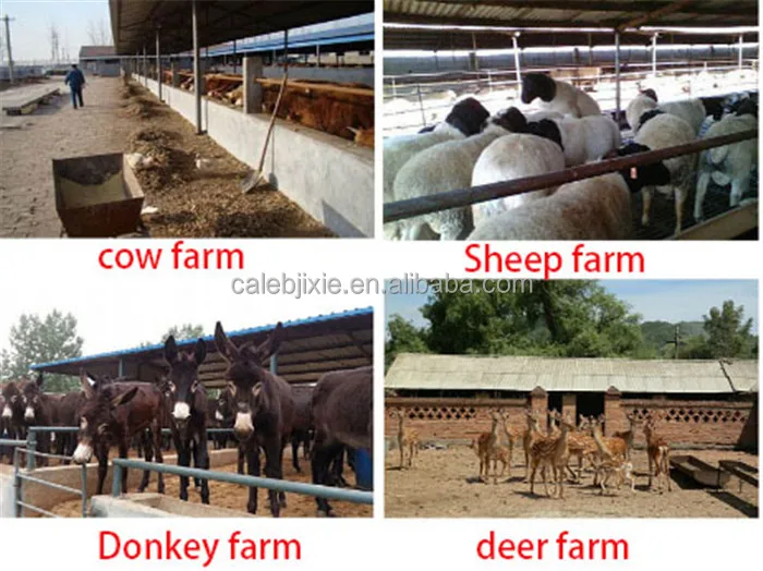 Three Wheel Manure Cleaning Machine - Efficient & Durable