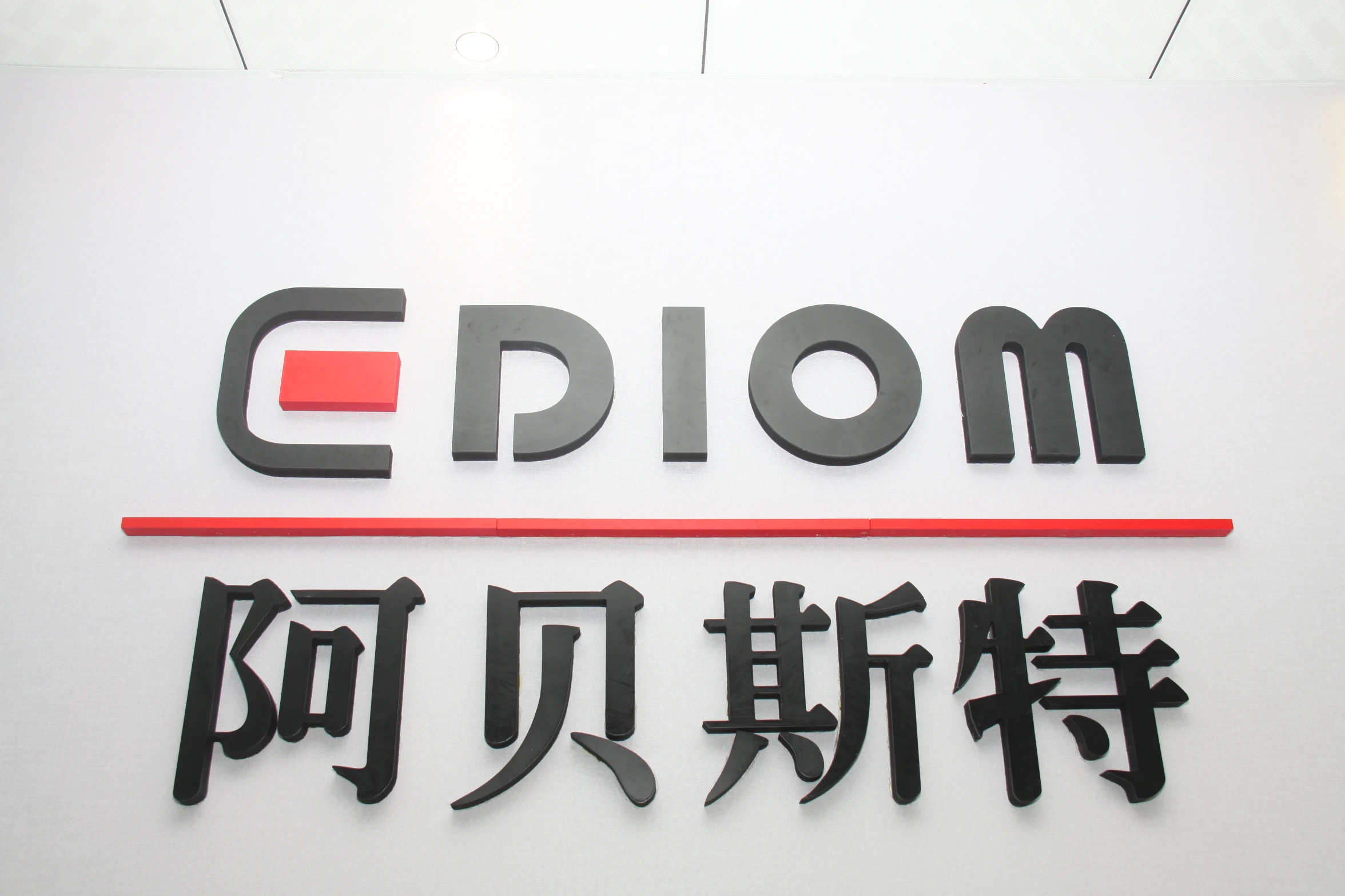 Company Overview - Huizhou Ediom Sports Co., Ltd.