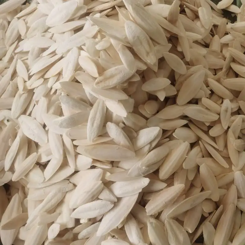 Wholesale Bird Food Dried Cuttlefish Bone Fishbone Cuttlefih Dried ...